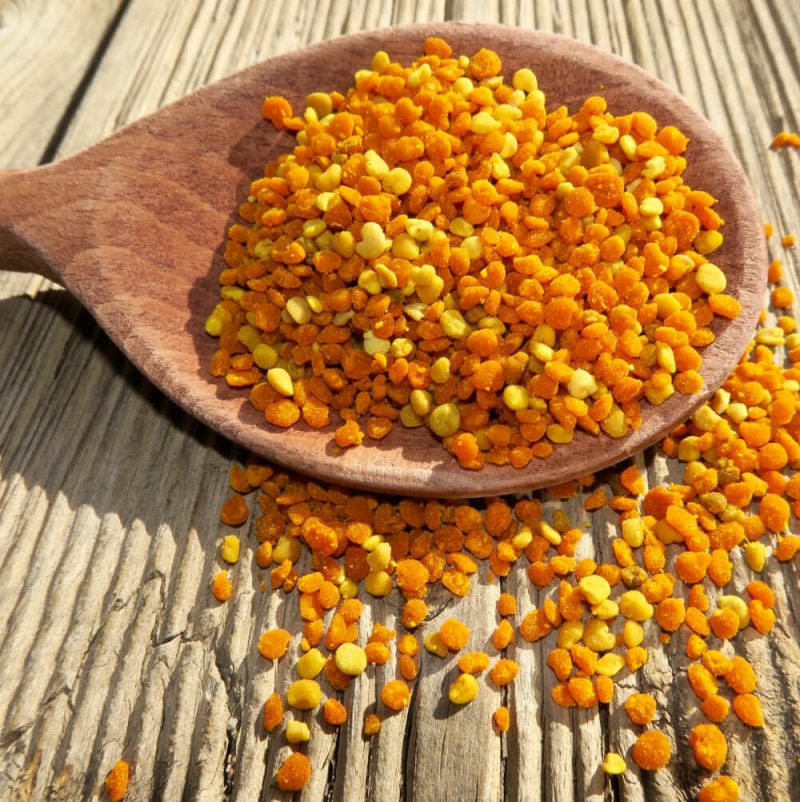 Pollen frais issu d'une miellerie responsable - Miels du Terroir Corse